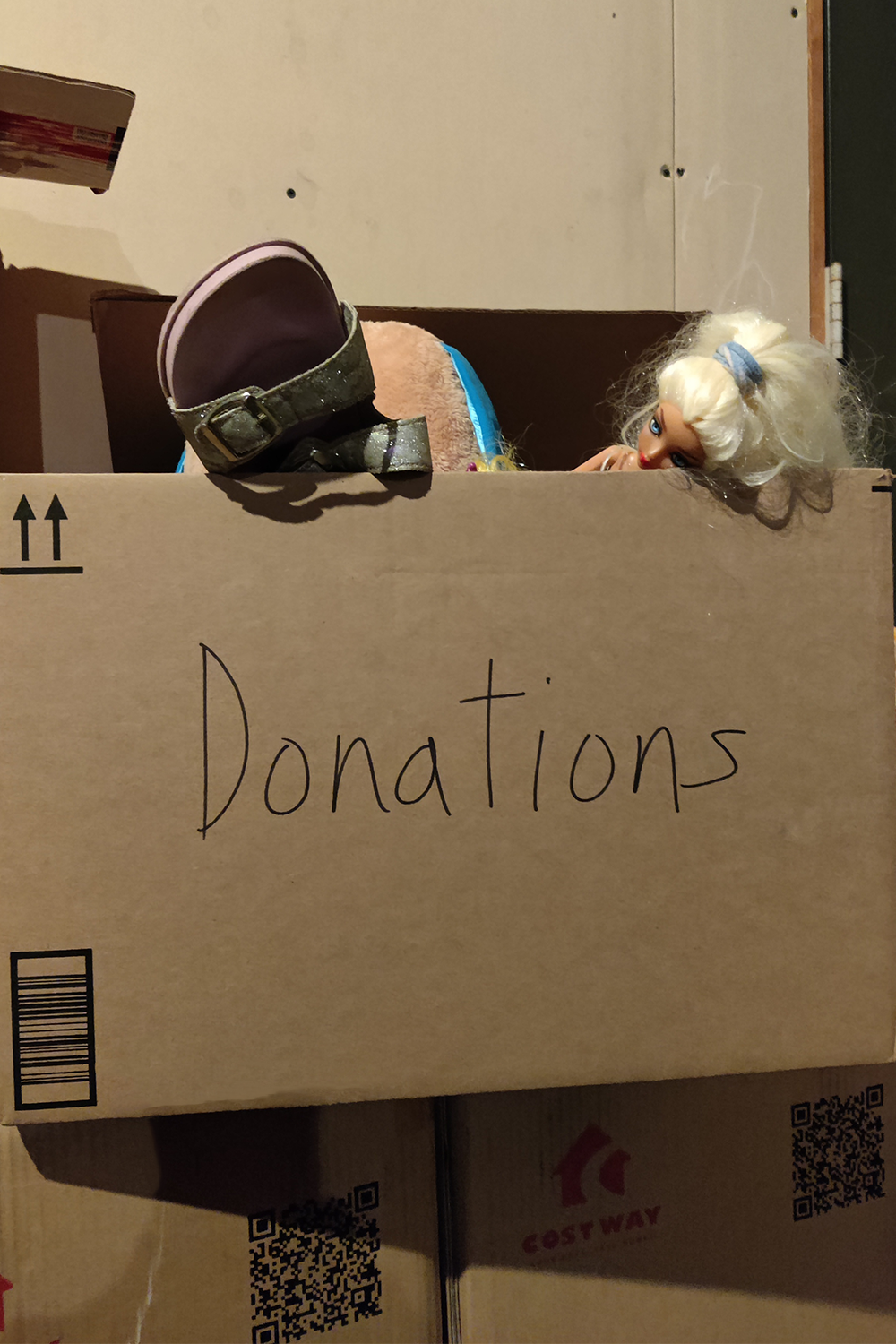 How To Purge Your House: 5 Strategies To Save Your Sanity - Home Will ...